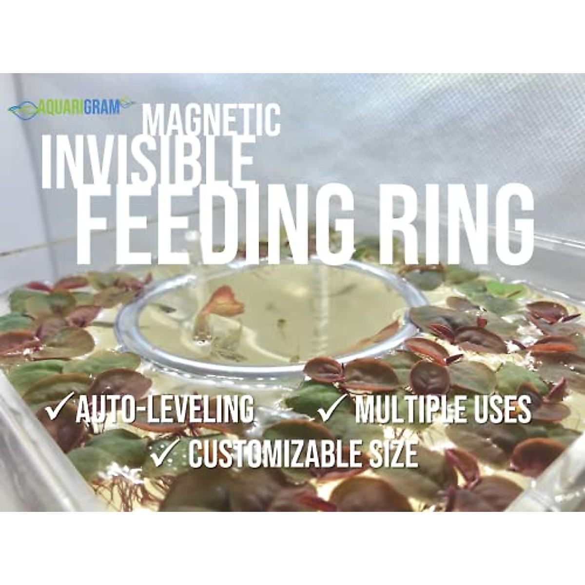 Magnetic Invisible Feeding Ring (Customizable and Auto-Leveling) Food Portal for Floating Plant Aquariums and Fish Tanks (Single)