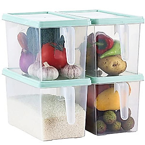 PENGKE 4 Pack Fridge Organizer,Plastic Food Storage Container with Lid and Handle,Fruit Refrigerator Organizer Bins for Kitchen Fridge Desk Cabinet Food Storage to Keep Fresh Furit Eggs Vegetables,5L