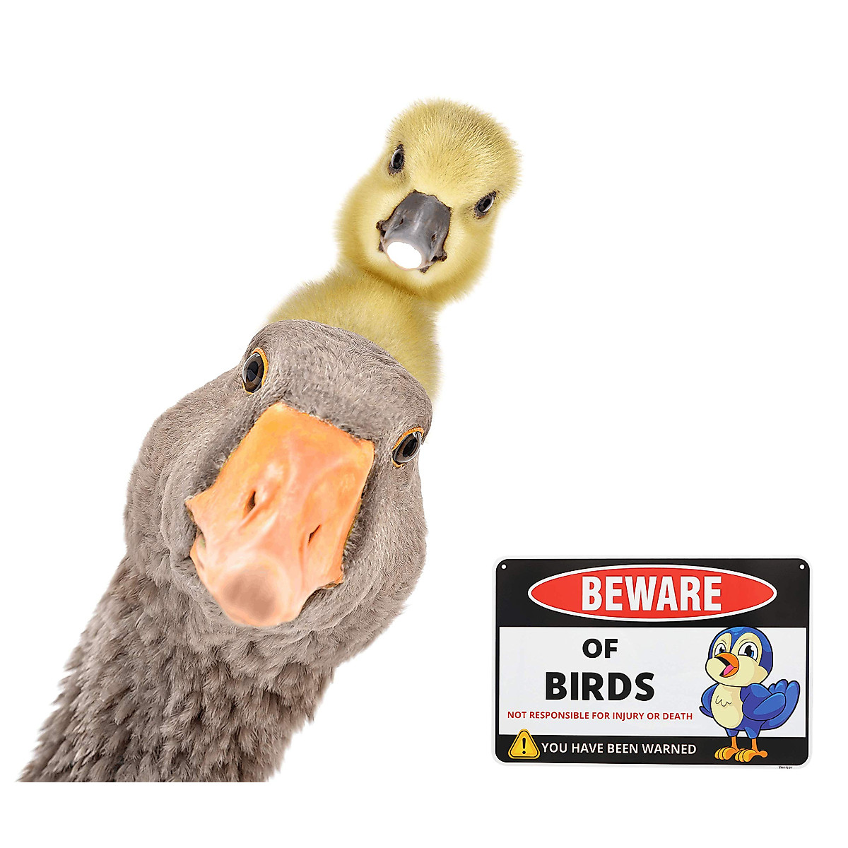 Venicor Bird Sign Decor - 8 x 12 Inches - Aluminum - Bird Gifts for Bird Lovers Women Owners - Bird Decorations for the Home Accessories Wall Art Stuff