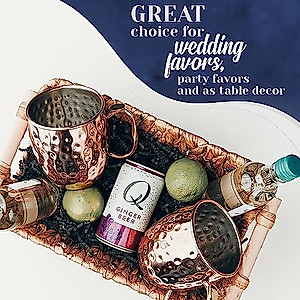 Kitchen Science Moscow Mule Mugs, Stainless Steel Lined Copper Moscow Mule Cups Set of 6 (18oz) | Stainless Steel Mug w/New Thumb Rest | Tarnish-Resistant Steel Interior (2 - Set of 6)