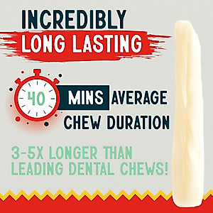 Canine Chews 10-11" Dental Coated Jumbo Rawhide Retriever Rolls (8 Pack) - Breath Freshening & Long Lasting Dental Chews for Dogs Large Size - Teeth Cleaning Dog Treats for Aggressive Chewers