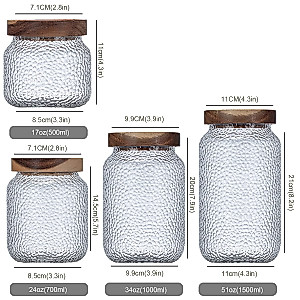 RareCi Glass Storage Jar, Food Storage Container with Airtight Bamboo Wooden Lid, Kitchen Canisters For Tea,Coffee Bean, Sugar, Candy, Cookie, Spice (500ml, 17 Ounce)