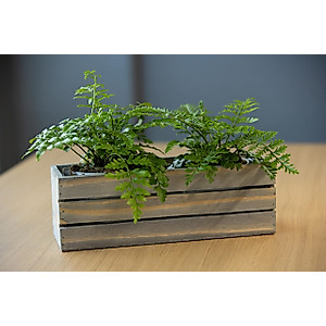 Wood Planter Box with Wine Crate Styled, 12x4 Inch Rectangular, Rustic Barn Wood, Plastic Liner, Wedding Flowers Holder, Home and Venue (12x4 Wine Crate Set of 4, Natural)