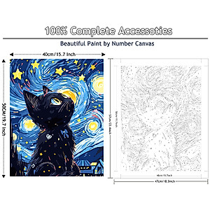 Yunnuo Paint by Numbers for Adults Black Cat, Paint by Numbers kit on Canvas for Beginners, Starry Night Oil Painting Set Craft Supplies, 3 Paintbrushes and Acrylic Paint 16x20 Inch