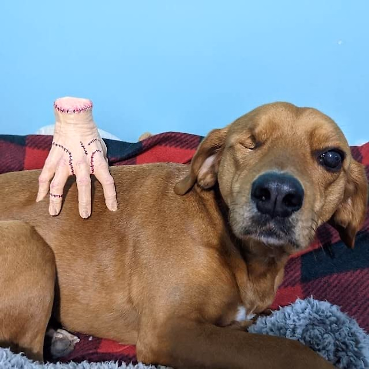 Cafele Wednesday Thing Hand Addams Family Decorations,Action Figure Hand Gothic Addams Family Figurine Latex Hand Model Funny Cosplay Photo Props,Scary Props Decorations