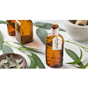 Muse Apothecary Study Ritual - Aromatic and Invigorating Room Mist, 8 oz, Infused with Natural Essential Oils - Aloe + Eucalyptus Mint