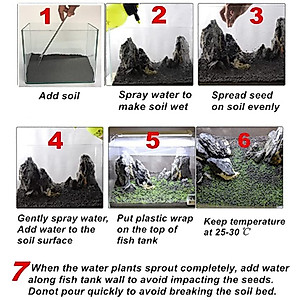 Wpmlady 4 Pack Aquarium Small Leaf Grass