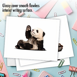 The Best Card Company - 10 Boxed Thank You Notes w/Envelopes, Assorted Stationery to Say Thanks for Men and Women - Zoo Yoga M6547TYG