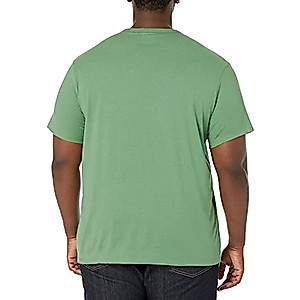 Champion T, 100% Cotton Shirt for Men, Lightweight Tee, Multiple Graphics, Native Fern Green-Y08254, Small