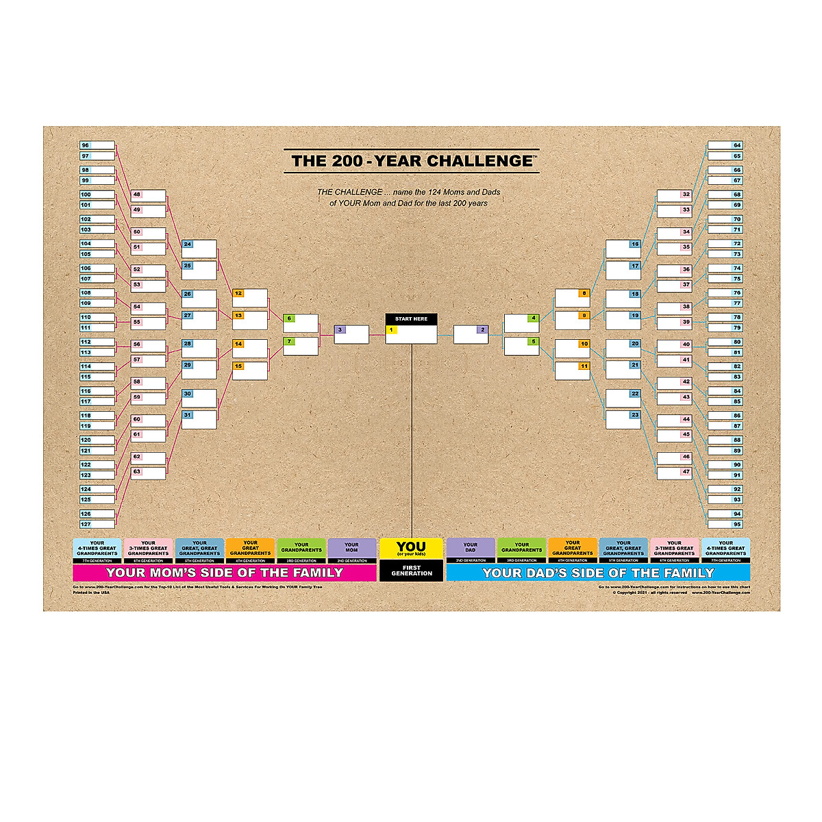 Family Tree Chart - Includes a Really Big, Fill-in-The-Blanks 38" x 25" 7-Generation Genealogy Chart and 16-Page Journal which Covers 200-Years of Your Family's History