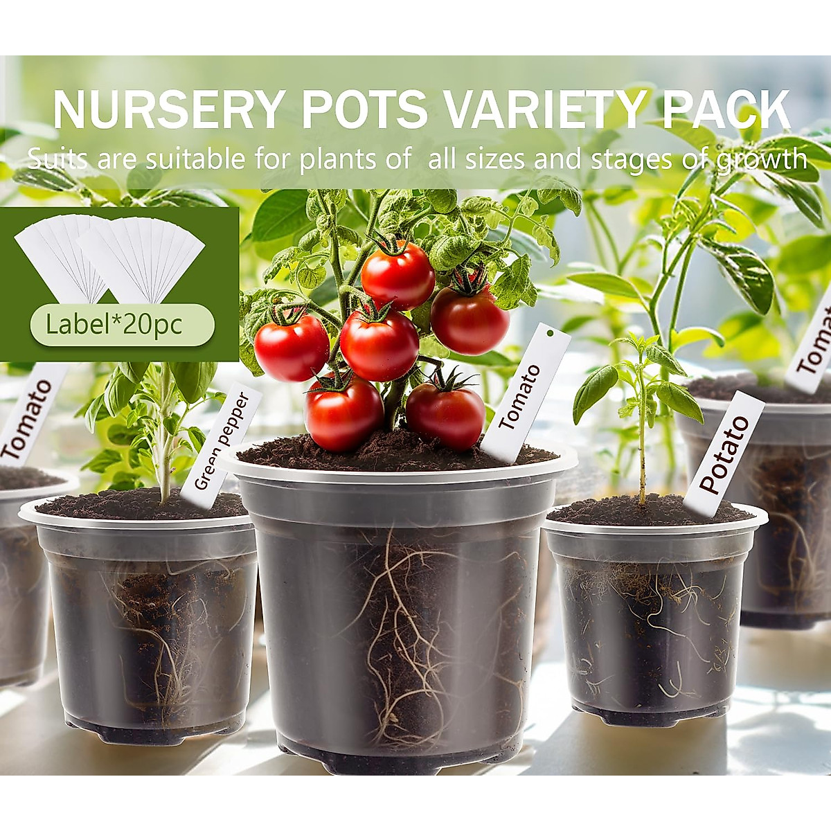 WandaQueen 30 Packs Clear Nursery Pots for Plants, 3.5/4/5 Inch Plant Pot for Planting Plastic Seedling Pots with Drainage Holes Seed Starter Pot High Transparency with 20 Plant Labels. (Transparent)