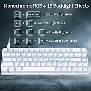 DIERYA T68SE Mechanical Gaming Keyboard, LED-Backlit Wired Keyboard, Ultra-Compact Mini 68-Key White Keyboard with Brown Switches, Anti-Ghosting Keys, for Windows Laptops and PC Gamers