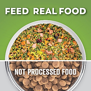 Dr. Harvey's Beef & Garden Veggies Dog Food, Human Grade Grain-Free Dehydrated Food for Dogs with Freeze-Dried Beef, Trial Size (5.5 Oz)