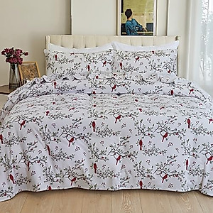 Elegant Comfort Soft 4-Piece 100% Turkish Cotton Flannel Sheet Set - Premium Quality, Deep Pocket Fitted Sheet, Ultra Soft, Cozy Warm Flannel Sheets - Twin, Cardinal