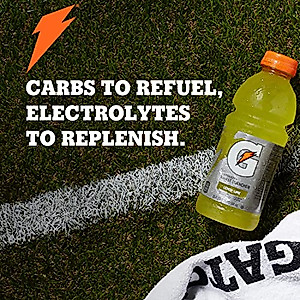 Gatorade Thirst Quencher, Cool Blue, 12 Ounce Bottles (Pack of 24)