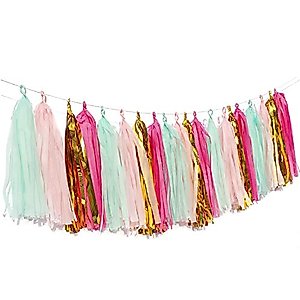 20pcs Tassel Garland Party Decor，Tassel Banner Tissue Paper DIY Decorations for Wedding Baby Shower Birthday Event Party Garland Decor (Gold Mint Rose Red Pink)