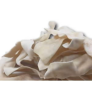 Natural & Roasted Rawhide Chips for Dogs Bulk Rawhide Dog Treats - 1LB & 3LB Bags (1 LB (Pack of 1), Beef)