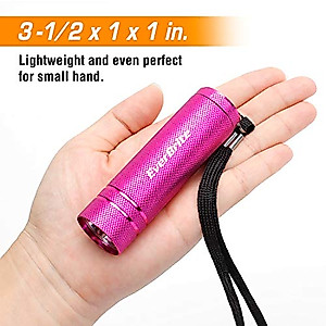 EverBrite 30-Pack Mini Flashlight Set, Aluminum LED Handheld Torches with Lanyard, Assorted Colors, 90 Batteries Included for EDC, Party Favors, Night Reading, Camping, Power Outage, Emergency
