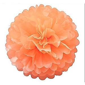 Life Glow 12Pcs Pom Poms of 10" 12" 14" Tissue Paper Craft Pom Poms Kit Tissue Paper Flowers Wedding Decorations for Wedding, Birthday, Baby Shower, Nursery Decor-Orange