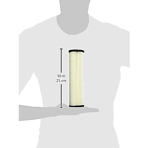 Ametek W20CLA Sediment Cartridge