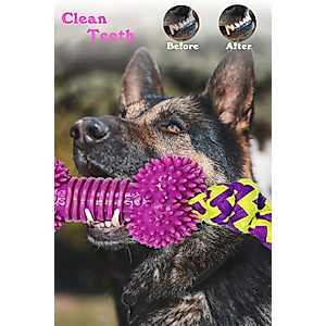 JADEWELL 3-in-1 Durable Dog Chew Toy with Natural Rubber Dental Bone Rope and Tennis Ball for Aggressive Chewers Clean Teeth Interactive Toys for Puppy Small Medium Large Dogs Cats Pets