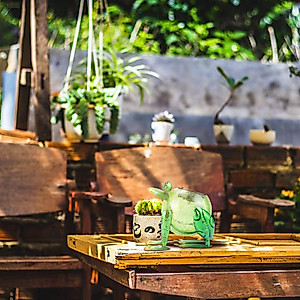 MUMTOP Solar Lanterns Outdoor Waterproof, LED Solar Lights Frog Lamp Decorative Tabletop Lanterns for Patio Garden Yard Table Decor or Gift