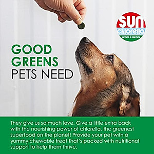 Sun Chlorella Rejuv-A-Wafers Daily Dog Cat & Animal Superfood Supplement - Green Microalgae & Eleuthero Bits - Vitamins, Minerals, Antioxidants Support Immune Defense, Gut Health - 60 Wafers