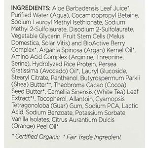 Andalou Naturals Argan Oil & Shea Moisture Rich Shampoo, Orange, 11.5 Ounce