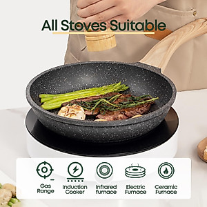 Ecowin Nonstick Frying Pan Egg Pan,9.6 Inch Nonstick Skillet with Lid,Granite Egg Frying Pan with Glass Lid, Dishwasher and Oven Safe,Induction Compatible, PFOA Free