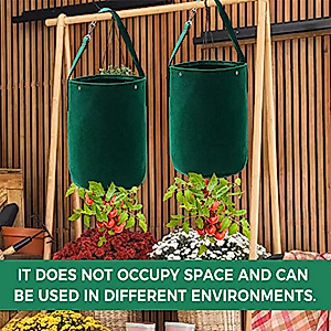Betereap Upside-Down Tomato Grow Bag - 2-Pack Widen Planting Holes 400G Heavy Duty Easy Installation Durable Hanging Tomato Planter for Small Spaces with Carabiner Clip Design