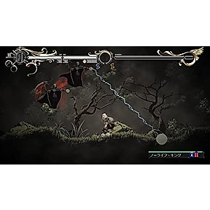 Record of Lodoss War: Deedlit in Wonder Labyrinth - PlayStation 5