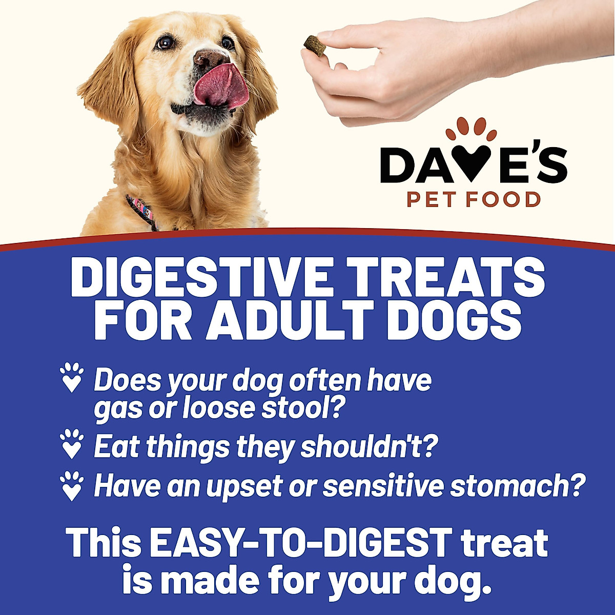 Dave's Pet Food Sweet Potato & Pumpkin Dog Treats for Sensitive Stomachs, Semi-Moist Soft & Digestive Friendly, Made in USA, Senior, Small & Large Dogs, Gut Health (1 Pack)