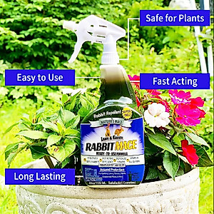 Nature’s MACE Rabbit Repellent 40oz Concentrate/Covers 28,000 Sq. Ft. / Rabbit Repellent and Deterrent/Keep Rabbits Out of Your Lawn and Garden/Safe to use Around Children & Plants