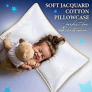 Royal Therapy King-Size Professional Hotel Pillows (2-Pack) - A Set of Premium Plush Gel Microfiber Down Alternative Hypoallergenic Bed Pillows for Your Bedroom - Side, Stomach & Back Sleepers