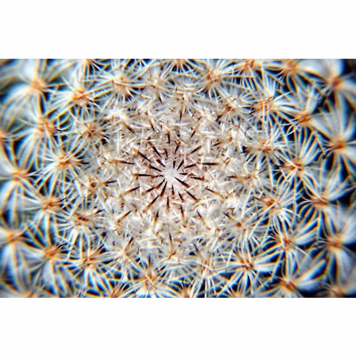 Close Up (10x) Macro Filter Lens for Canon EF-S 18-200mm f/3.5-5.6 is USM