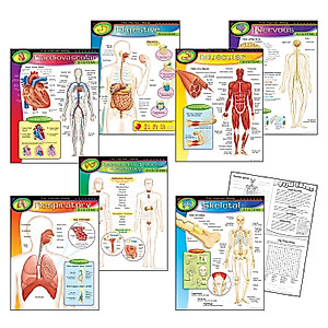TREND ENTERPRISES, INC. T-38913 The Human Body Learning Charts Combo Pack, Set of 7, Multi