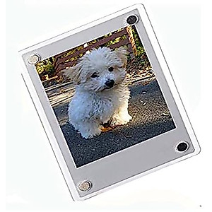 Fujifilm Instax Mini 12 Instant Camera + Pro Design Protective Case & Magnetic Lucite Frames, 20 Sheets (Pastel Blue)