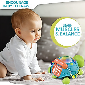 Boxgear Musical Turtle Toy - Baby Crawling Toys for Babies 18+ Months - Learning with Sound, Music, Lights, Phone, Letters, Numbers - for Motor Skills, Cognitive Development, Hand-Eye Coordination