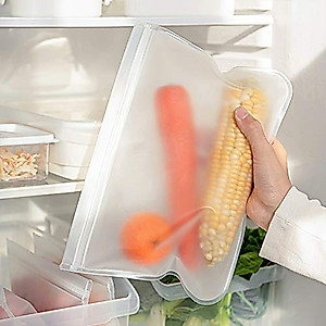 1/2 Gallon Freezer Bags Reusable Food Storage Bags for Vegetable, Liquid, Snack, Meat, Sandwich, 10.2x7.87 Inch, 10 Pack