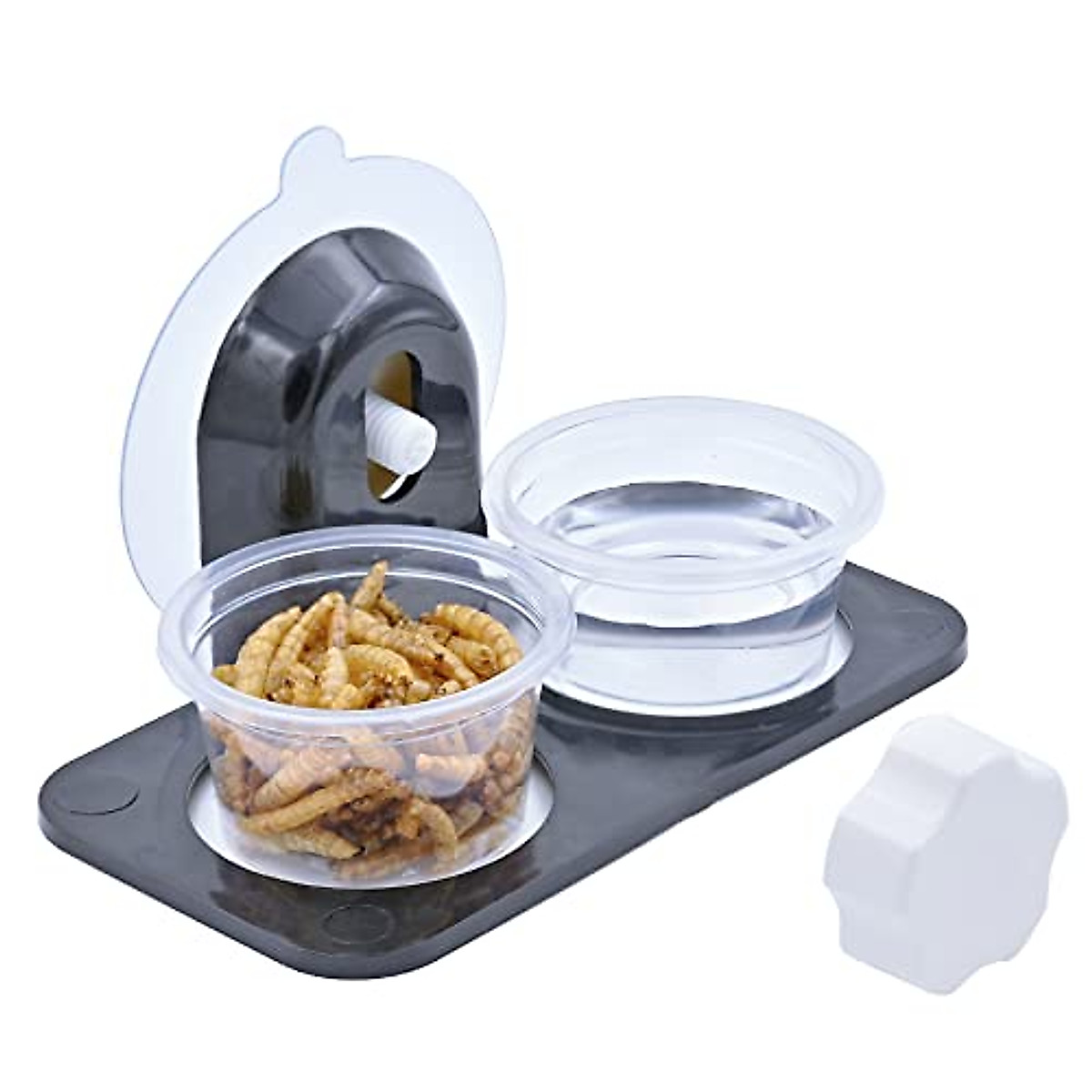 MRTIOO 100pcs 1oz Crested Gecko Food and Water Feeding Cups, Reptile Feeder Bowls, for Lizard and Other Small Pet Ledge Accessories Supplies