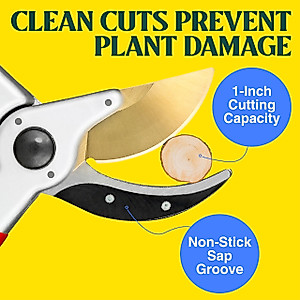 EnduroPRO Titanium Pruning Shears - Best Garden Shears, Tree Trimmer, Hand Pruner-Ideal Branch, Hedge, Shrub & Bush Clippers-Razor Sharp Bypass Secateurs Ergonomic Gardening Tool for Effortless Cuts