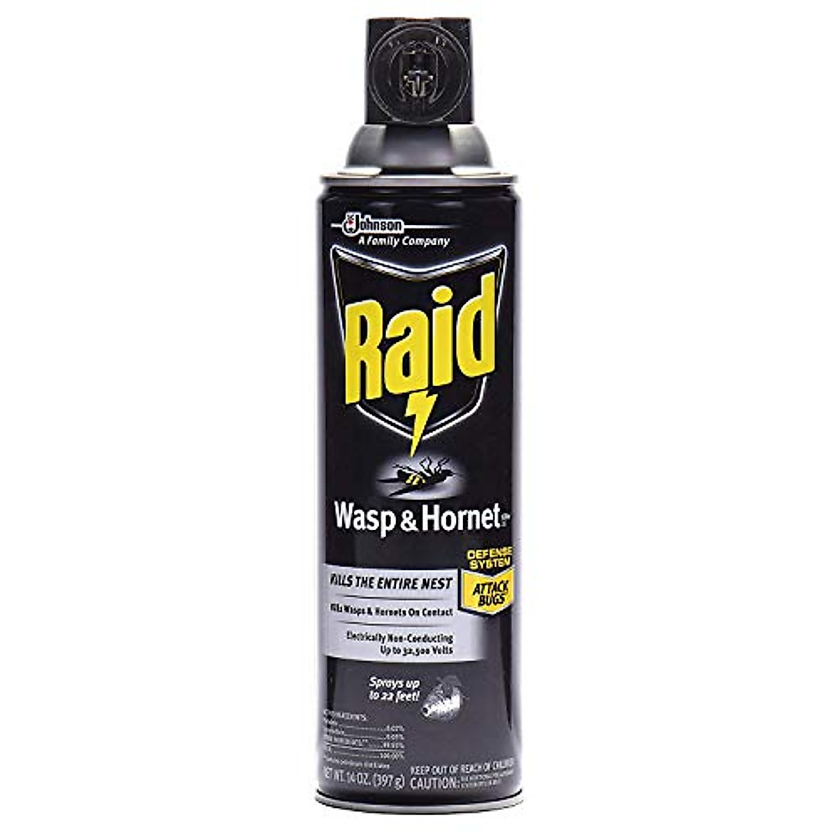 Raid Wasp and Hornet Killer (14 Ounce (Pack of 6))