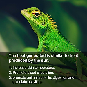 REPTI ZOO Reptile Basking Heat Lamp Bulb, 50W Splashproof Energy Saving Deep Heater Non-Luminous Carbon Infrared Heat Bulb for Reptile Amphibians