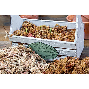 SuperMoss (22325) Orchid Sphagnum Moss Dried, Natural, 1 Pound Mini Bale