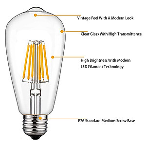 SHUWDKAR LED Light Bulbs DC 12V 6W E26 ST64 Low Voltage Bulb RV Camper Warm White 2700K Vintage Clear Glass Filament Edison Bulbs Equivalent 75W Halogen Marine Boat Solar 12V Battery Lighting,2 Pack