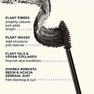 Pacifica Beauty | Activist Curling Mascara | Black | Volume and Length | Vegan Brush | Glass Tube | Clean Eye Makeup | Plant-Fibers | Microplastic + Nylon 6 Free | Vegan, Talc-Free, Cruelty-Free