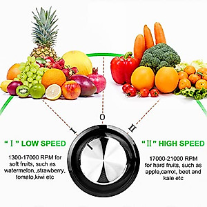Juicer Machines, HERRCHEF 600W Juice Extractor with 3'' Wide Mouth, 2 Speed Stainless Steel Compact Centrifugal Juicer for Vegetable and Fruit Easy to Clean, with Anti-drip, BPA-Free