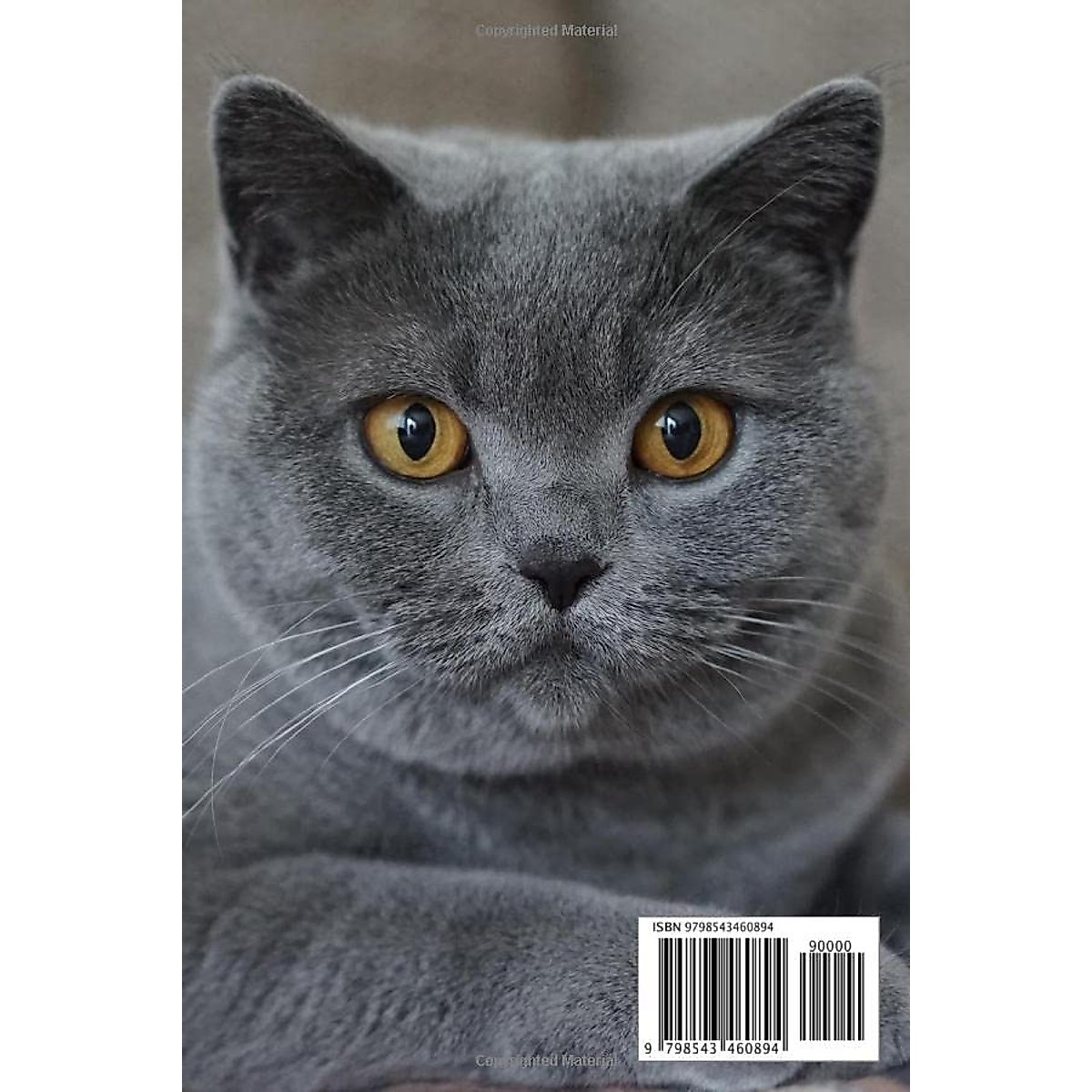 Address Book: Cat theme. Personal address book with space for 525 contacts .Record names, addresses, home, mobile,work, fax e-mail addresses.a5 size