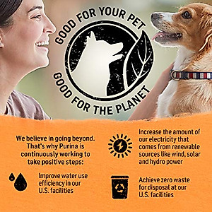 Purina Beyond Grain Free, Natural Dry Dog Food, Grain Free White Meat Chicken & Egg Recipe - 3 lb. Bag