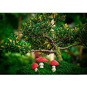 Tree Poetry Mushroom for Garden, Glow in The Dark Fairy Garden Decor Accessories, Micro Landscape, Mushroom Statue